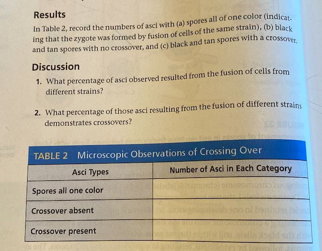 Results In Table 2, record the numbers of asci with | Chegg.com
