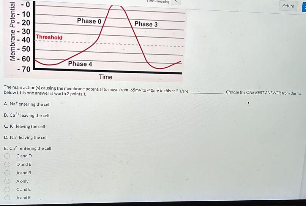 Solved Time Remaining Return Phase 0 Phase 3 Membrane | Chegg.com