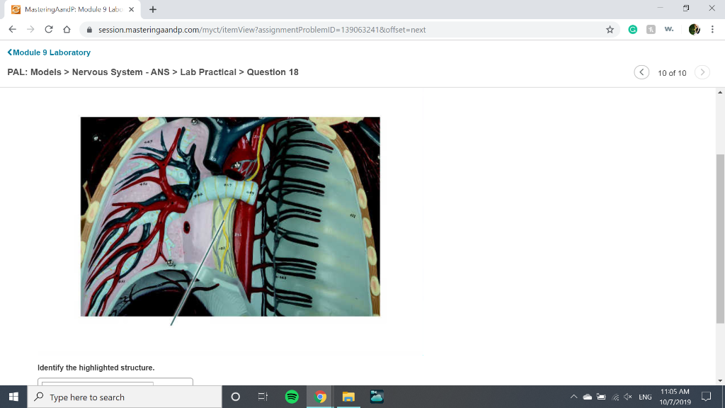 Solved: & Mastering Aand P: Module 9 Labu X + - X E → C O ... | Chegg.com