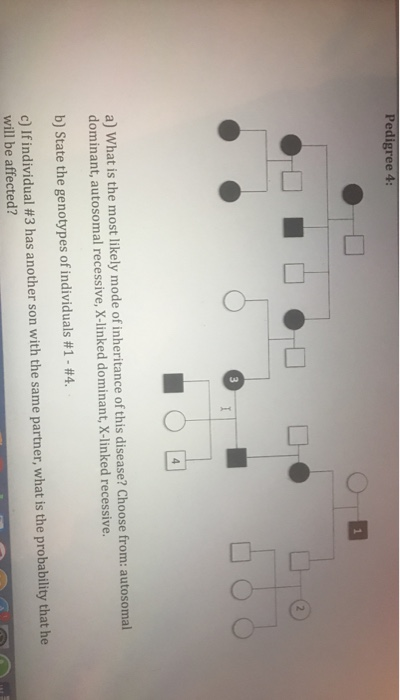 Solved Pedigree 1: Unaffected female Unaffected male a) What | Chegg.com