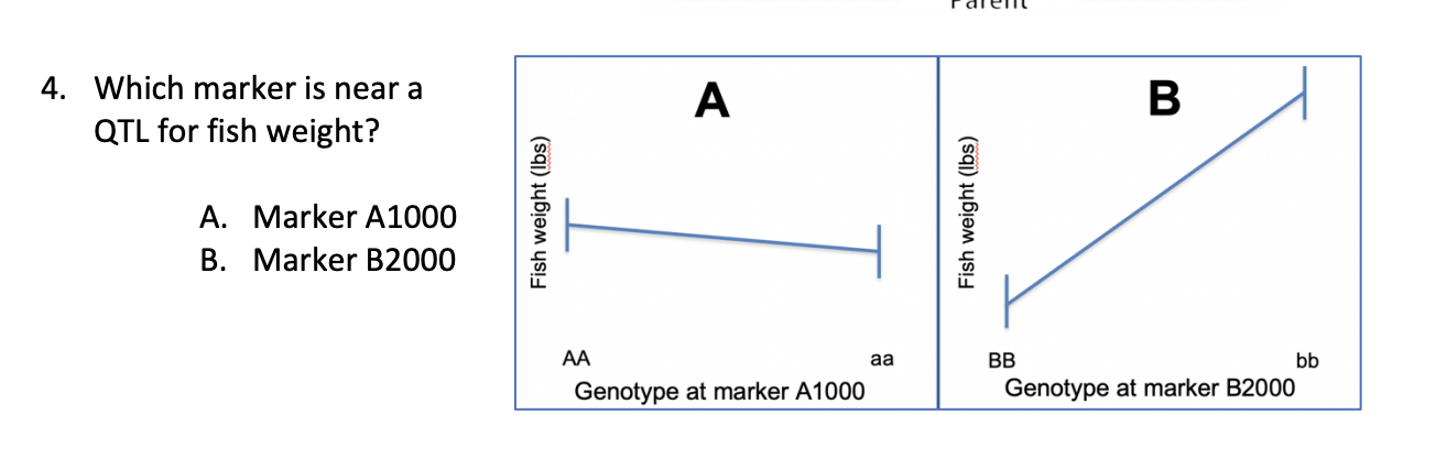 Solved railIIL 4. Which marker is near a QTL for fish | Chegg.com