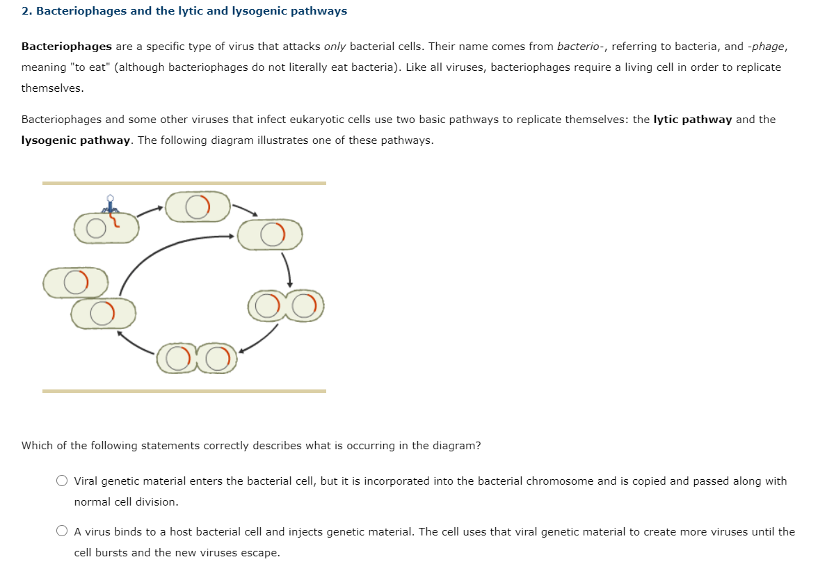 Solved 2. Bacteriophages and the lytic and lysogenic | Chegg.com