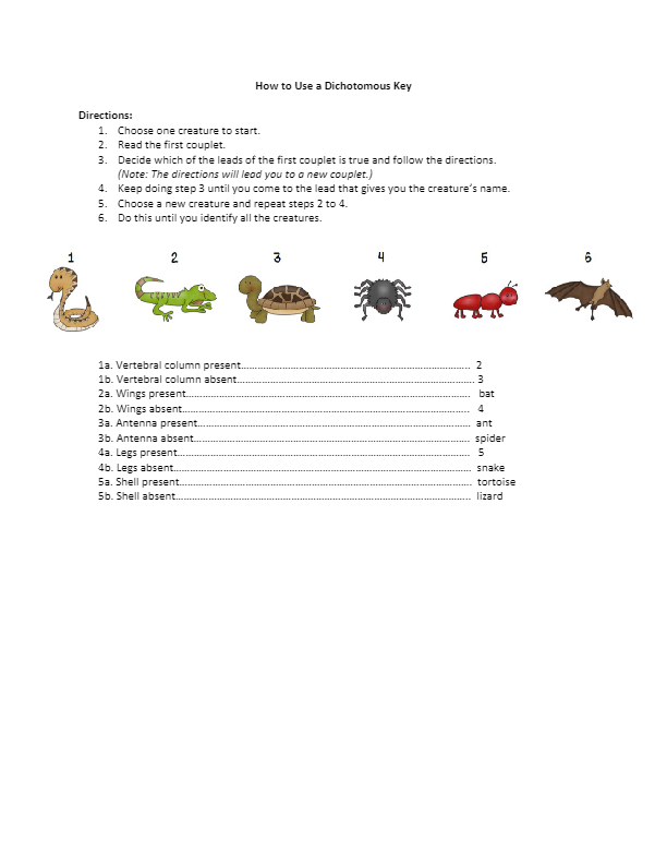 Solved Phylogenetic Classification: Construct a simple | Chegg.com