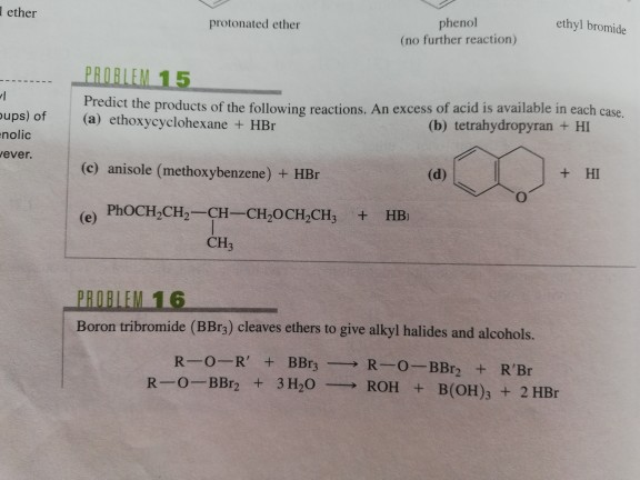 Solved phenol (no further reaction) ether protonated ether | Chegg.com