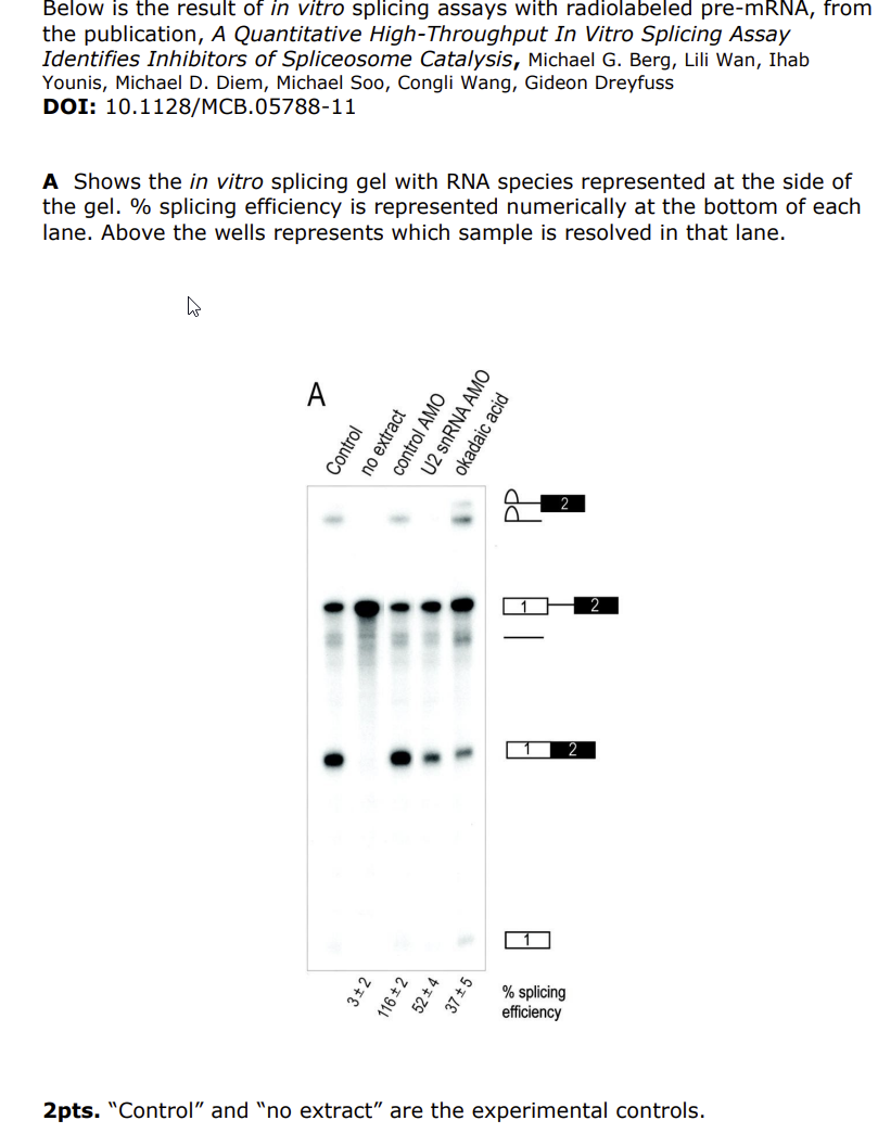 Below is the result of in vitro splicing assays with | Chegg.com