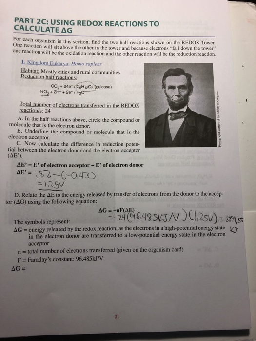 Solved PART 2C: USING REDOX REACTIONS TO CALCULATE ΔG For | Chegg.com