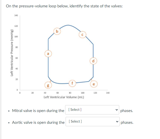 Solved On the pressure-volume loop below, identify the state | Chegg.com