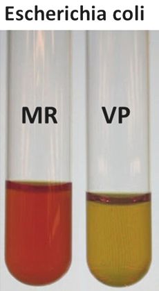 Solved Which one of the following answers is correct about | Chegg.com