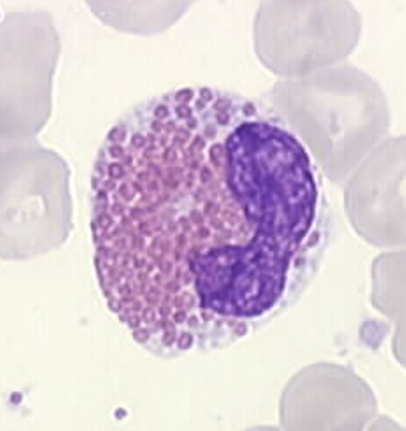 Solved ⊕ | Chegg.com