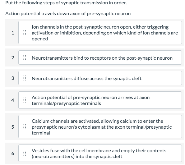 Solved Put the following steps of synaptic transmission in | Chegg.com