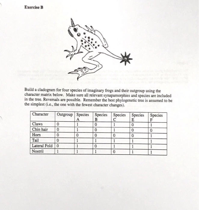 Solved Exercise B Build a cladogram for four species of | Chegg.com