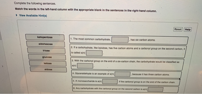 Solved Match the words in the left-hand column with the | Chegg.com