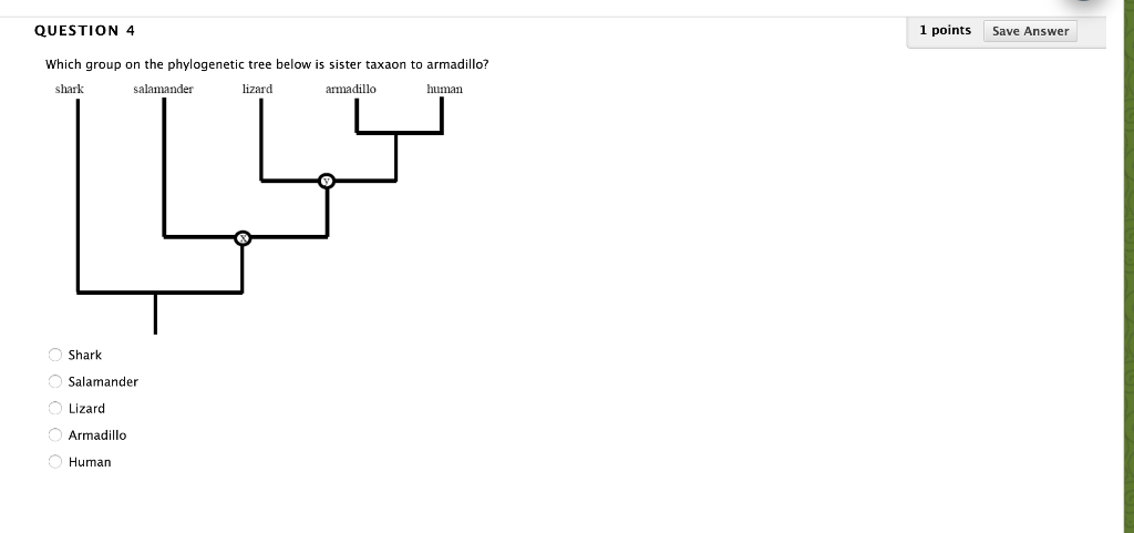 Solved QUESTION 4 1 points Save Answer Which group on the | Chegg.com