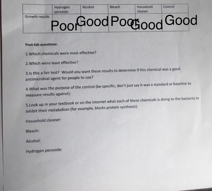 Solved Bacteria in the environment must be controlled to | Chegg.com