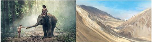 Solved Python Code Create a list that holds a number of | Chegg.com