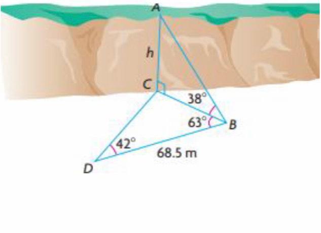 Solved 1. The angle of elevation from the roof of a | Chegg.com