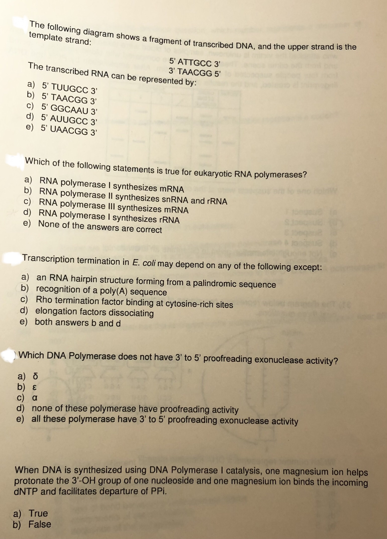 Solved The following diagram shows a fragment of transcribed | Chegg.com