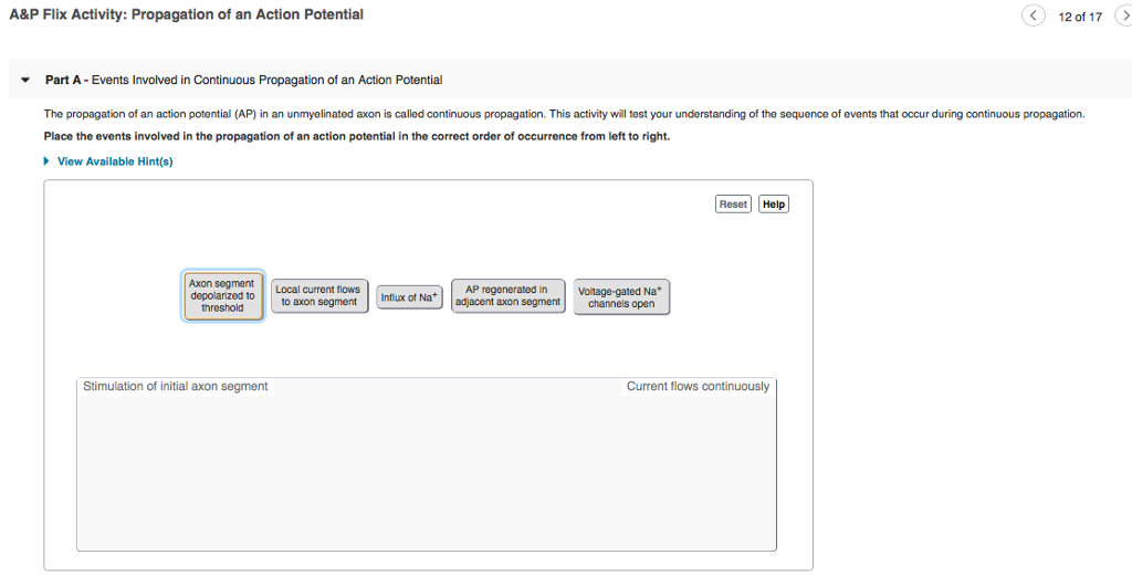 Solved A&P Flix Activity: Propagation of an Action Potential | Chegg.com