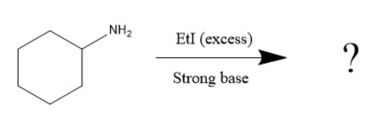 Solved NH2 Etl (excess) ? Strong base | Chegg.com