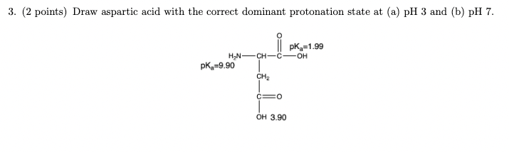 Solved 3. (2 points) Draw aspartic acid with the correct | Chegg.com