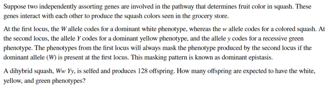 Solved Suppose two independently assorting genes are | Chegg.com
