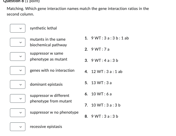 Solved Matching. Which gene interaction names match the gene | Chegg.com