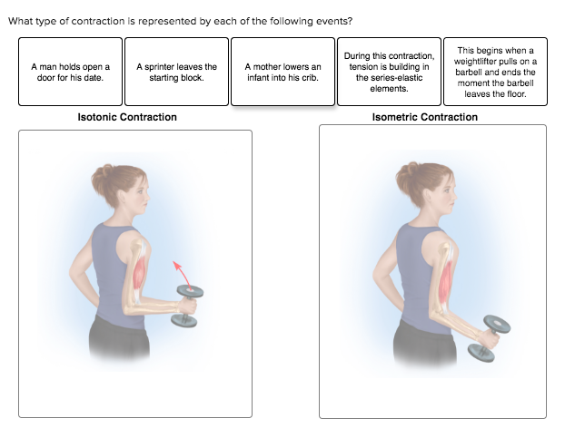 Solved What type of contraction is represented by each of | Chegg.com
