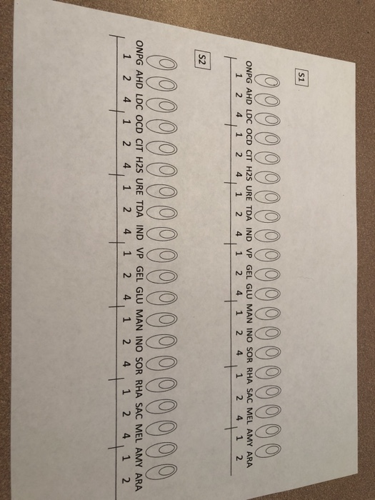 Solved Calculate these test strips using the API test and | Chegg.com