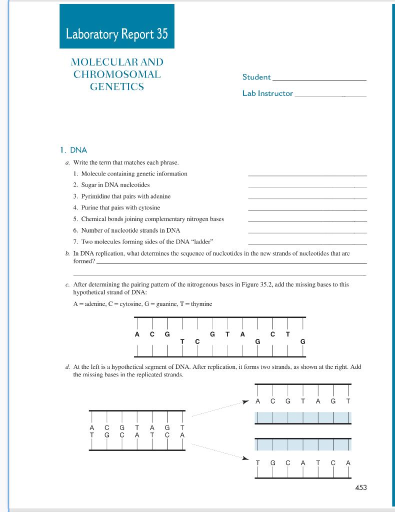 Solved Laboratory Report 35 MOLECULAR AND CHROMOSOMAL | Chegg.com
