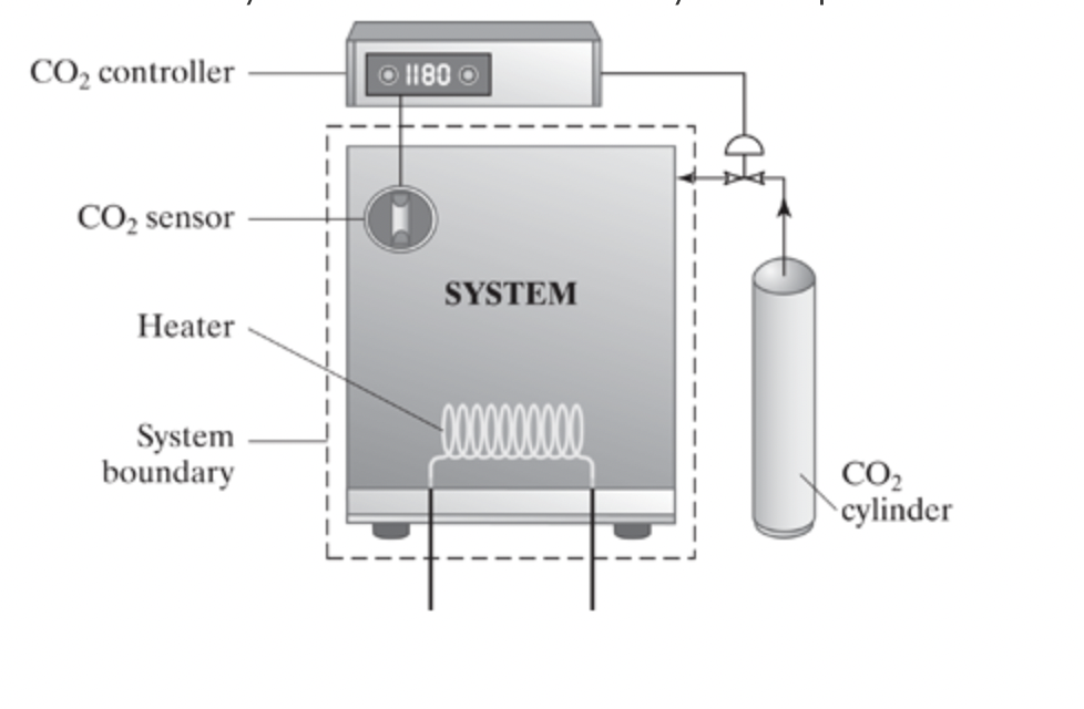 Solved 4. Mammalian cells are usually cultured in a carbon | Chegg.com
