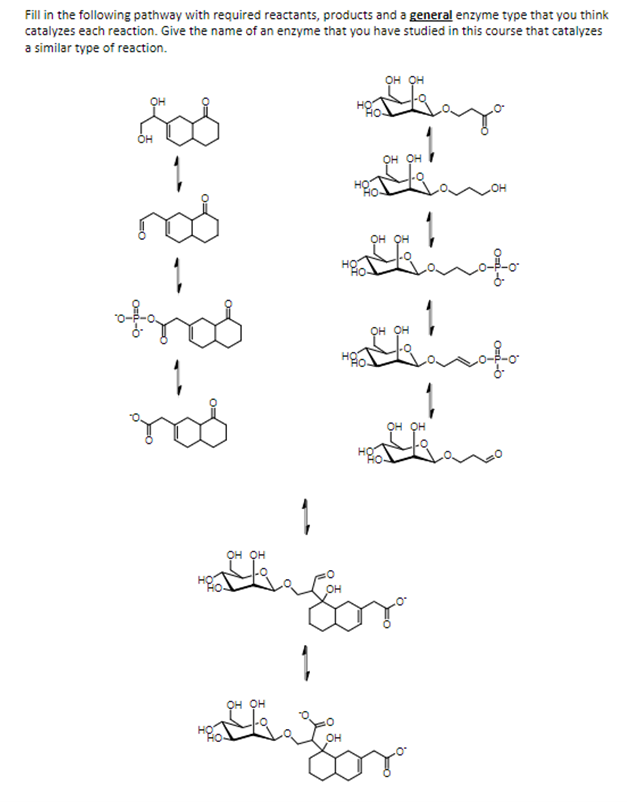 Fill in the following pathway with required | Chegg.com