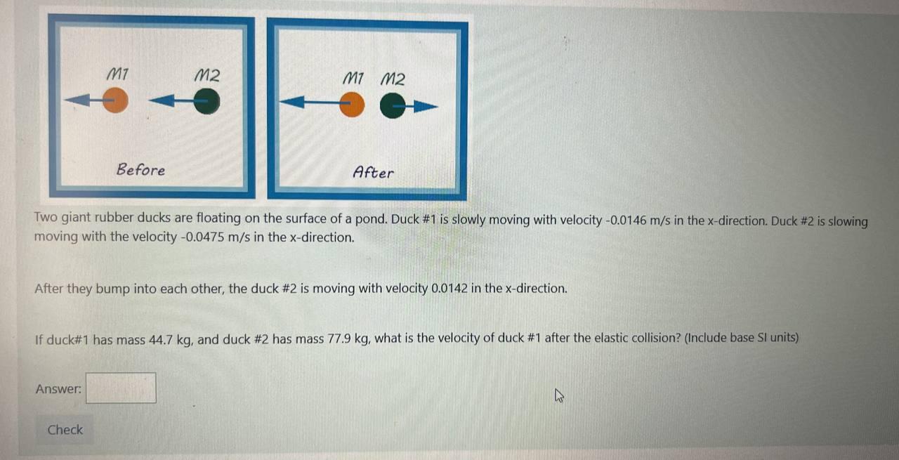Solved Two giant rubber ducks are floating on the surface of | Chegg.com