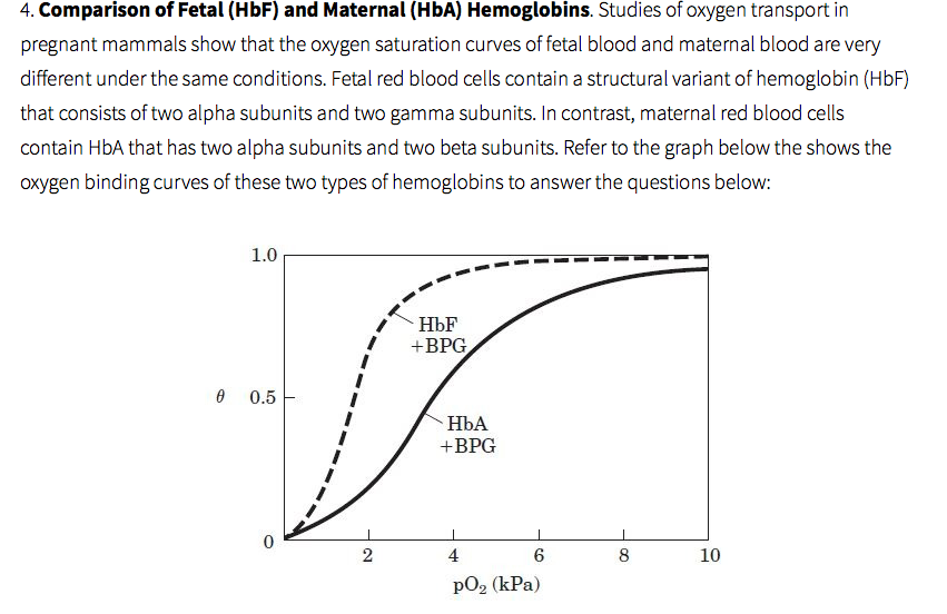 Solved Consider the graph above to answer the following | Chegg.com