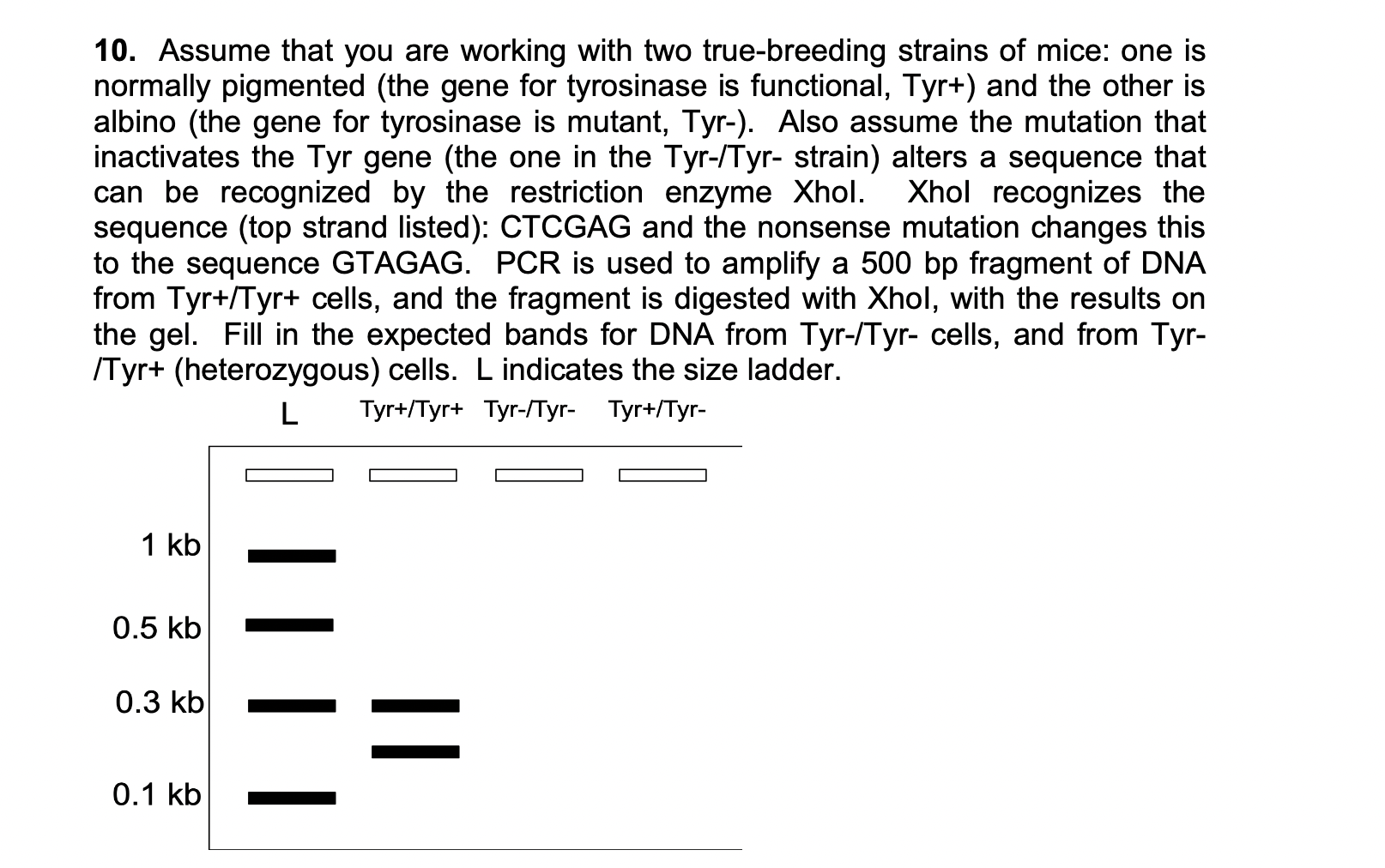 Solved 10. Assume that you are working with two | Chegg.com