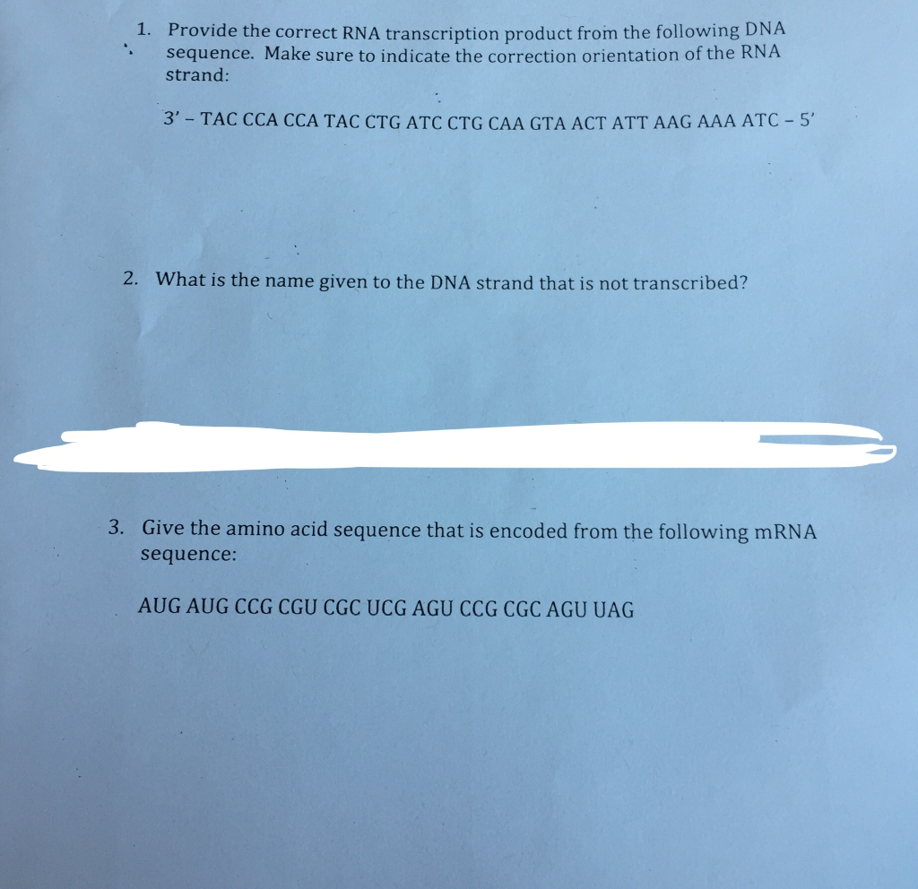 Solved Provide the correct RNA transcription product from | Chegg.com