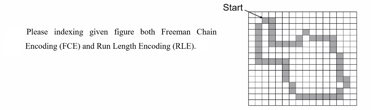 Start Please indexing given figure both Freeman Chain | Chegg.com