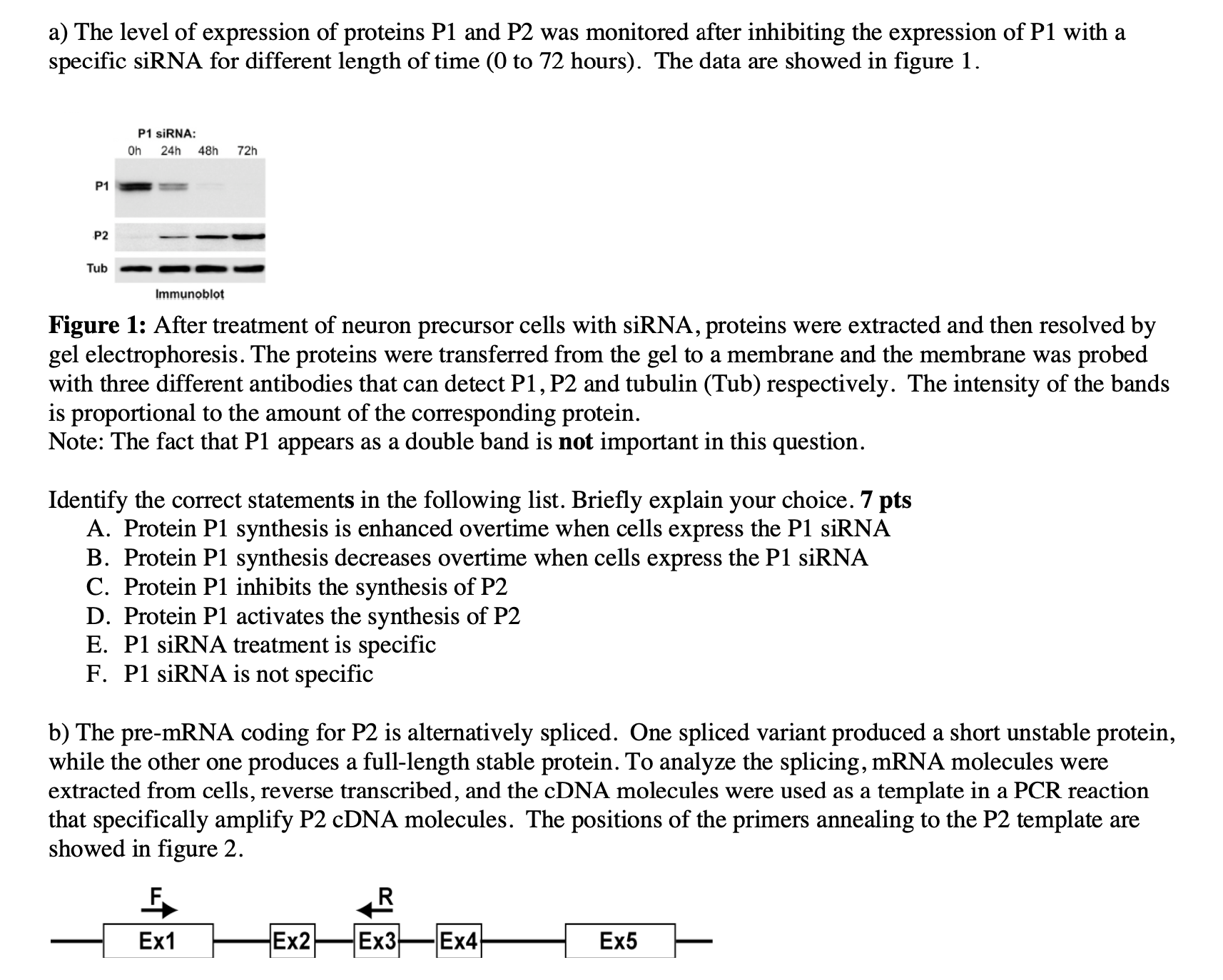 Solved Question 6 (26 pts) The differentiation of neuronal | Chegg.com
