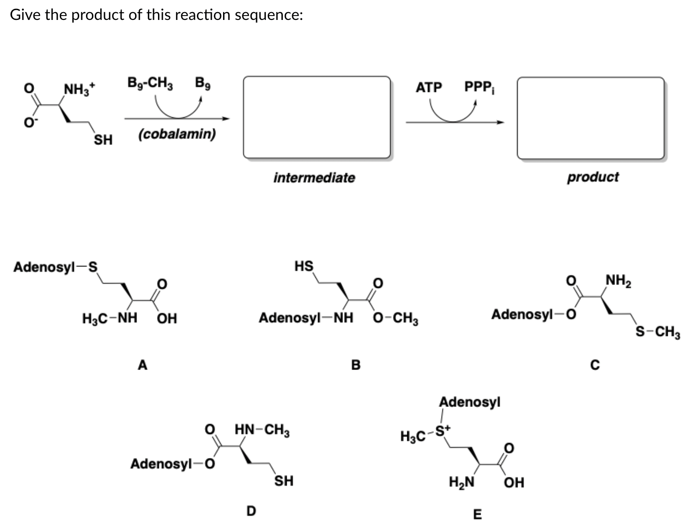 Solved Give the product of this reaction sequence: | Chegg.com