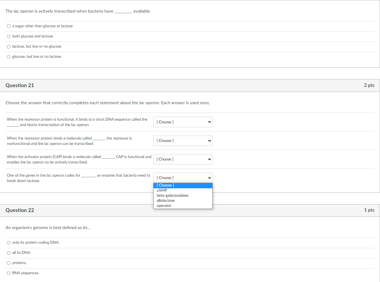 Solved The lac operon is actively transcribed when bacteria | Chegg.com