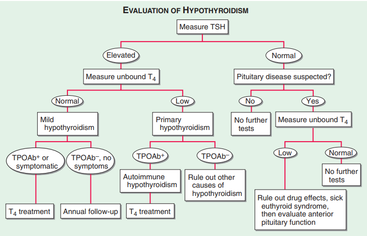 Solved EVALUATION OF HYPOTHYROIDISM | Chegg.com