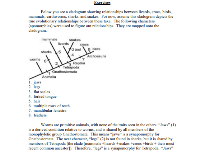 Solved Exercises Below you see a cladogram showing | Chegg.com