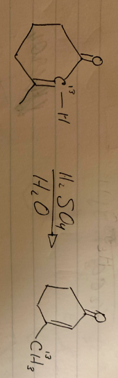 Solved H2OH2SO4 | Chegg.com