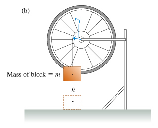 Solved Consider a bicycle wheel that initially is not | Chegg.com