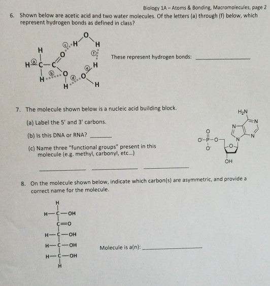 Solved Biology 1A - Atoms & Bonding, Macromolecules, page2 | Chegg.com