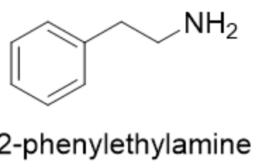Solved 2-Phenylethylamine is a water-soluble amine with a | Chegg.com