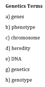 Solved Learning Activity 8-1: Genetic Terms Concept Map Fill | Chegg.com