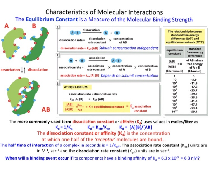 Characteristics of Molecular Interactions The | Chegg.com
