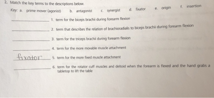 Solved 2. Match the key terms to the descriptions below. | Chegg.com