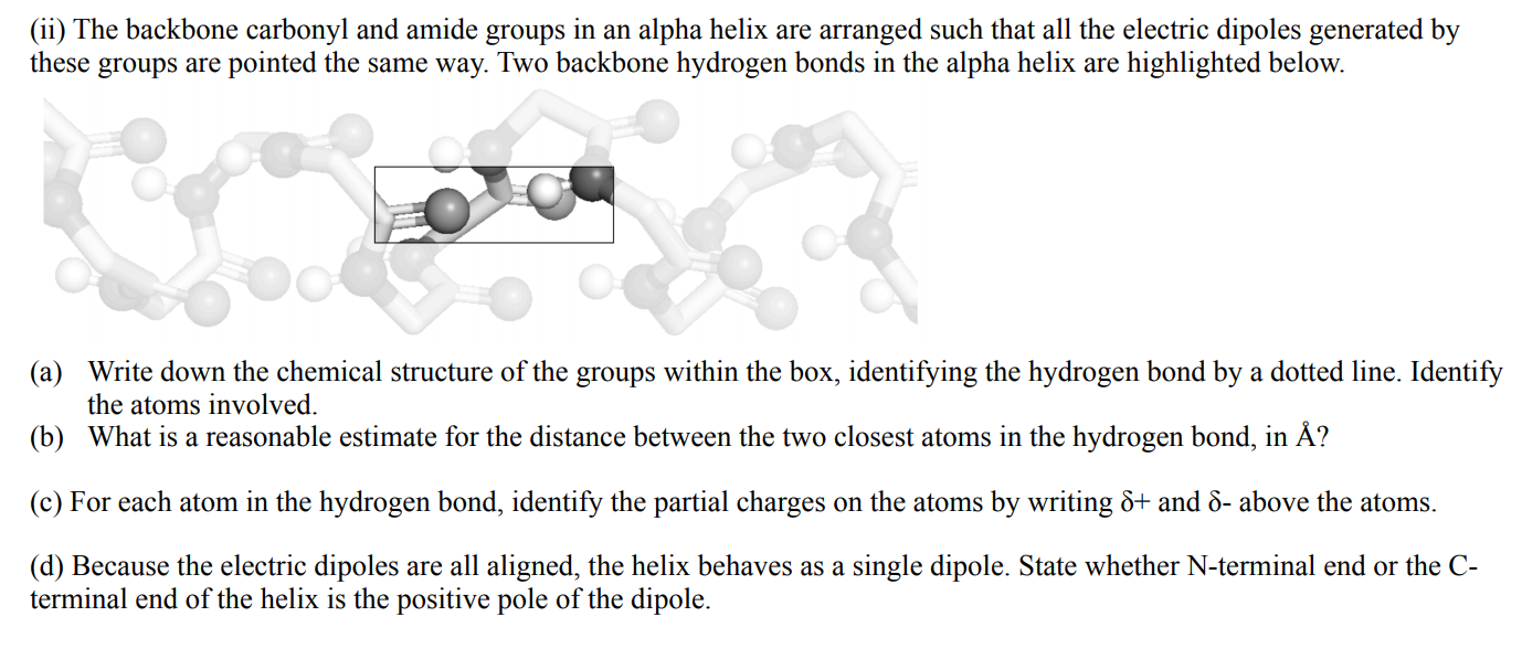 Solved (ii) The backbone carbonyl and amide groups in an | Chegg.com
