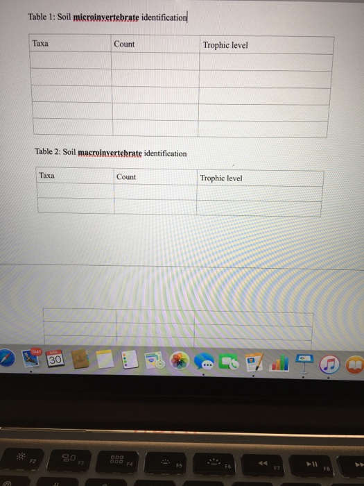 Table 1: Soil microinvertebrate identification Taxa | Chegg.com